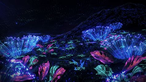 Acer Swift Oled Behance