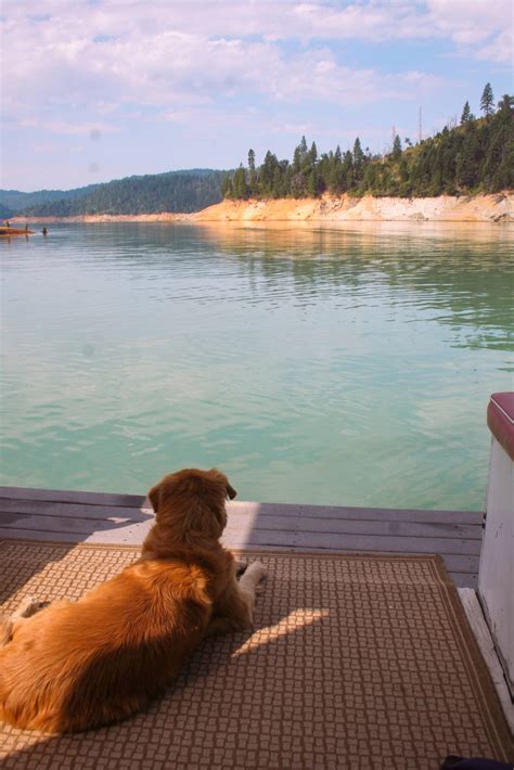 Lake Life Bullards Bar