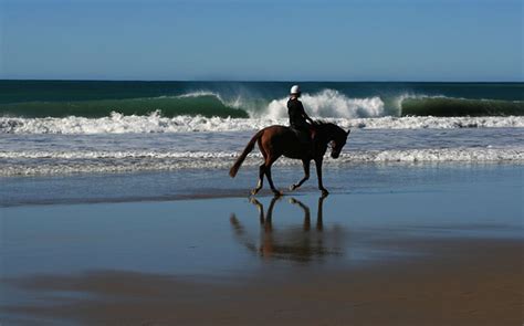 Pascal Voc 2012 Object Detection Dataset By Pascal