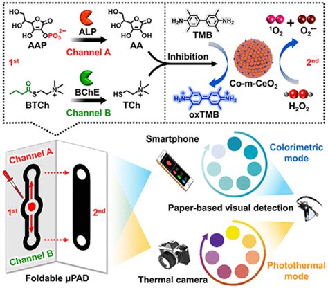 A Programmable Microfluidic Paper Based Analytical Device For Simultaneous Colorimetric And