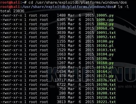 denial of service dos tools and techniques