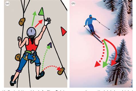 Figure 1 From Self Motion Perception And Sequential Decision Making Where Are We Heading