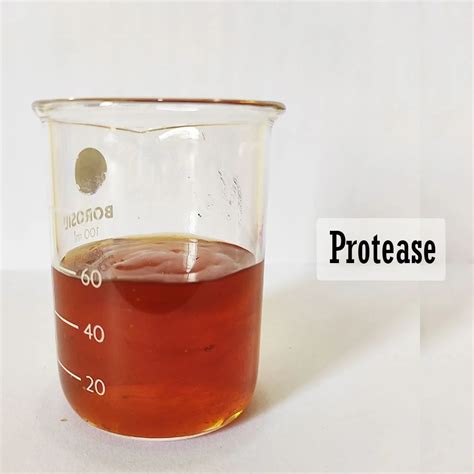 Protease Enzyme Liquid At ₹ 2000kg Peptidase In Tiruchirappalli Id 2854644576197