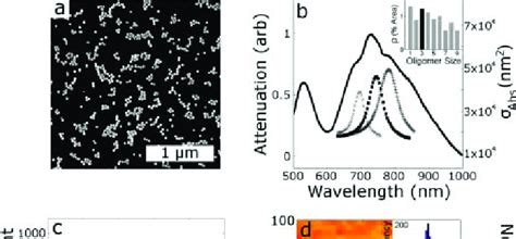 Schematic Overview Of Chemical Assembly Of Sers Substrates A Lipoic