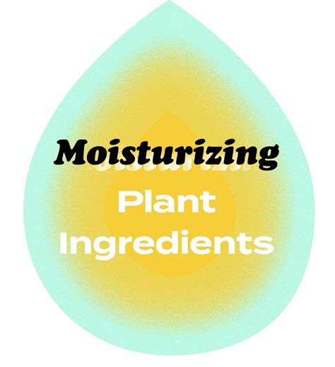 Australian Gold Plant Based Sunscreen Benefits Popsugar Beauty