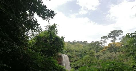 Accra Aburi Botanical Gardens And Waterfalls Private Tour Getyourguide