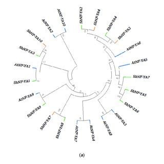 Multiple Sequence Alignment Of NF YB Conserved Domains Multiple Download Scientific Diagram