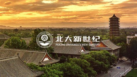 教育类网站全案整理网站地图 网站建设案例 北京传诚信