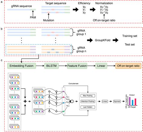 Nature Communications 公共卫生学院联合复旦大学团队首次开发基于深度学习的碱基编辑脱靶预测工具 上海交通大学医学院 新闻网