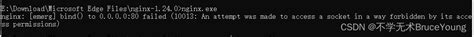 windows下启动nginx报错 bind to 0 0 0 0 80 failed 10013 an attempt was