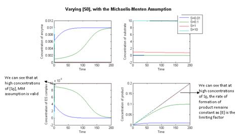 Enzyme Substrate Concentration Graph