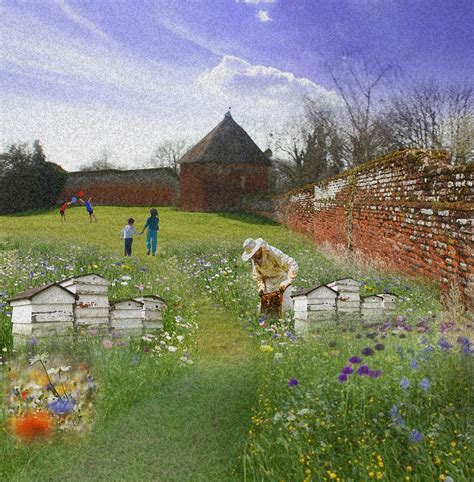 Basing House Lichen Studio