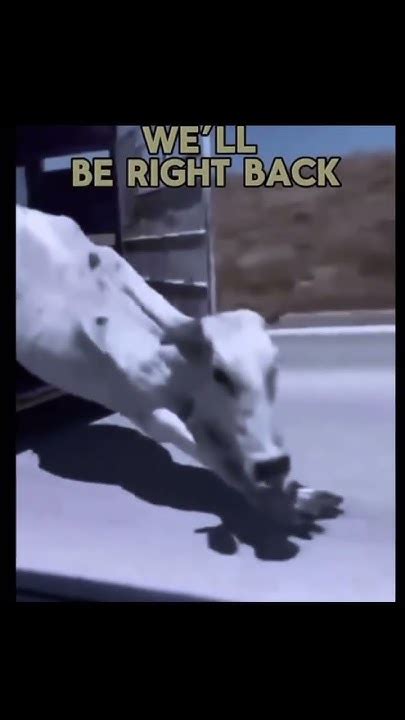 Glorious Exit Youtube