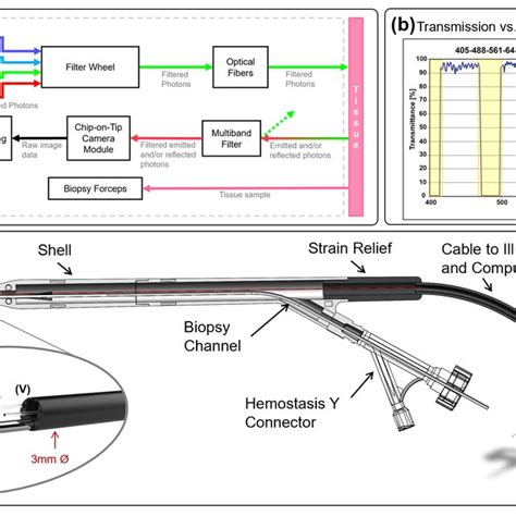 A Transmittance Of Broadband Light Through Custom Multiband Filter Download Scientific