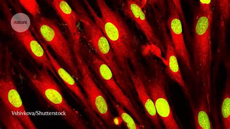 Which Single Cell Analysis Tool Is Best Scientists Offer Advice