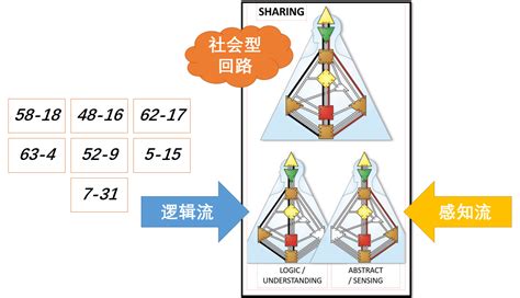 学习人类图の社会逻辑回路 反映者视角 知乎