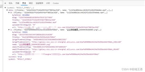 vue浏览或展示支持视频和图片格式 vue 播放avi视频 CSDN博客