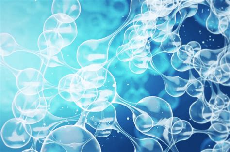 Multi Omics Data Analysis Biocomputational Experts And Database