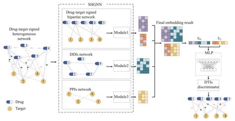 论文笔记9drug Target Interactions Prediction Based On Signed Heterogeneous Graph Neural Networks 知乎