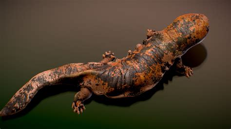 Japanese Giant Salamander River Monsters