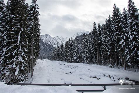 Shovi Georgian Travel Guide