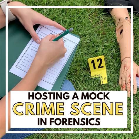 Pin On Best Of The Trendy Science Teacher