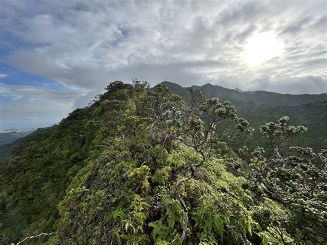 Hiking The Lulumahu Ridge Trail To Puʻu Kōnāhuanui On Oʻahu — Noahawaii
