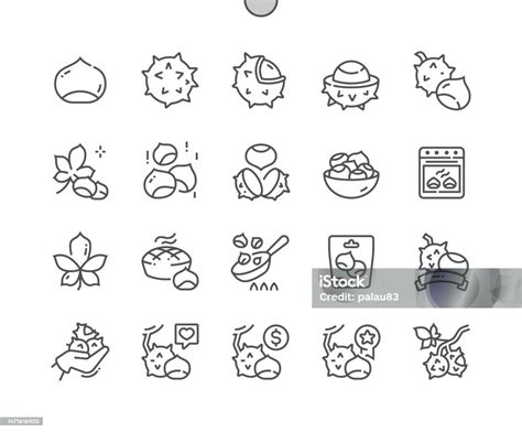 밤 자연 유기농 식품 영양 요리 조리법 및 가격 밤나무 파이 픽셀 완벽한 벡터 얇은 선 아이콘입니다 간단한 최소 픽토그램 1위에