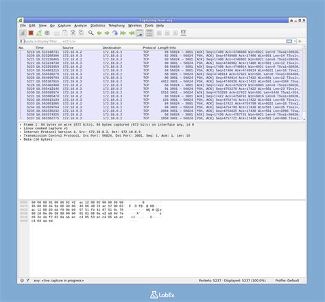 Analyze Ipv6 Traffic With Wireshark Labex