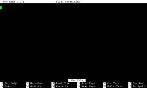 Learn How To Create And Edit A File Via Ssh With Nano And Vim