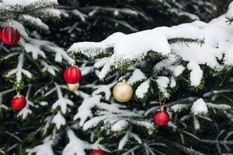 새해 복 많이 받으세요 크리스마스 트리는 가족 겨울 휴가를 위해 야외에서 나뭇가지 눈에 노란색 빨간색 유리 공으로 장식합니다 축제 분위기 12월에 대한 스톡 사진 및 기타
