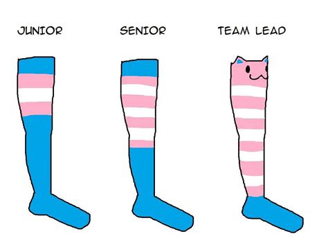 Programmingsocks R Programmerhumor