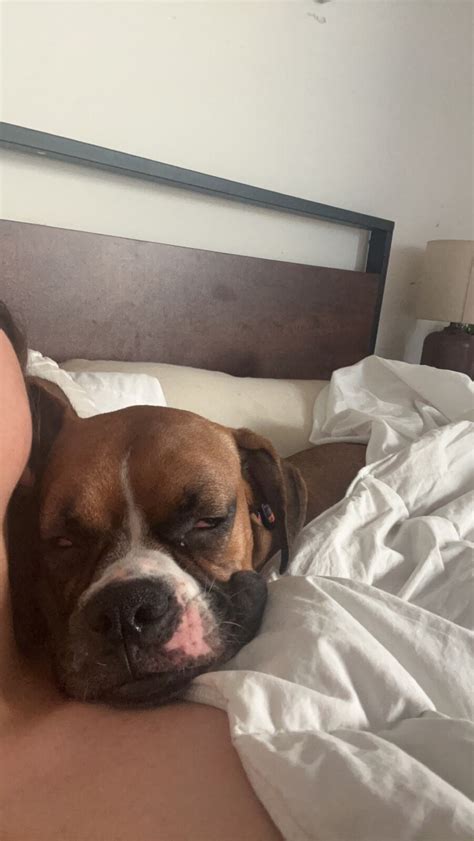 Ryans C Of C Roommate Profile Roomsurf