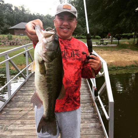 Do Bass Have Teeth Tips For Properly Holding Your Fish Premier Angler