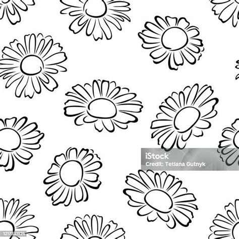 데이지 꽃 매끄러운 패턴입니다 흑백 개요 그림입니다 카모마일 꽃 머리의 벡터 흑백 실루엣 검은색에 대한 스톡 벡터 아트 및 기타 이미지 Istock