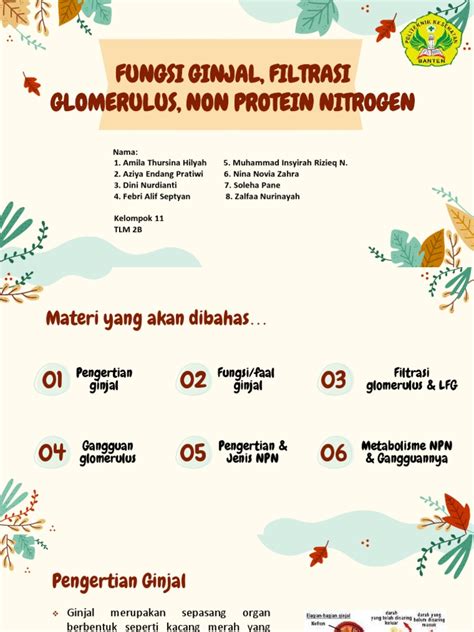 fungsi ginjal filtrasi glomerulus dan npn pdf