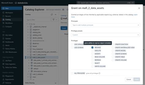 Alexander Mafi On Linkedin Databricks Unitycatalog Datadiscovery Browsepermissions