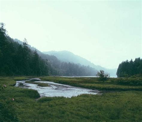 Scroll Driven Animations Parallax Carousel