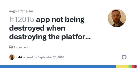 App Not Being Destroyed When Destroying The Platform PlatformRef Issue Angular