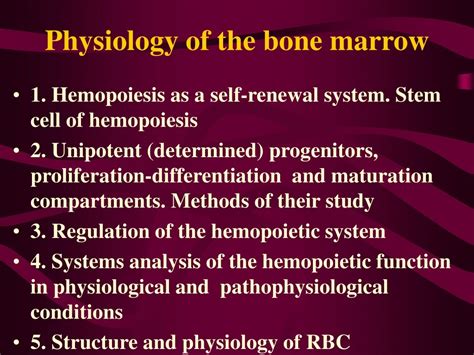 Ppt Comprehensive Understanding Of Bone Marrow Physiology Powerpoint