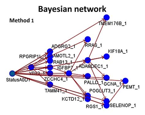 Bayesian Network A Bayesian Network Successfully Modeled The Overall