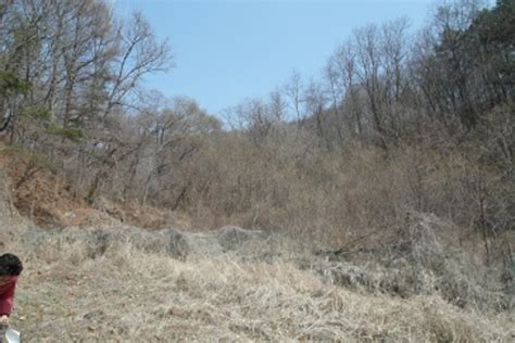 금산군 제원면 토지 전 충청남도 금산군 제원면 용화리 663 1 경매투자문의 충청남도 토지 전 경매