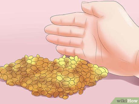 3 Ways To Catch A Deer WikiHow