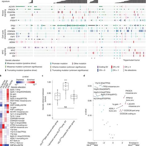 Schematic Representation Of The Ribosomal Rna Rrna Gene Cluster Or