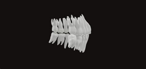 3d File Teeth Segmentation 🦷 ・3d Print Model To Download・cults
