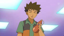 Episode 658 Pokémon Doctor Brock Pictures