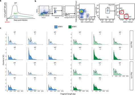 Cell Sorting Strategy And Quality Assessment Of Atac Seq Libraries Of Download Scientific