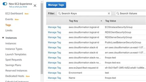 Aws Tagging Cloudysave