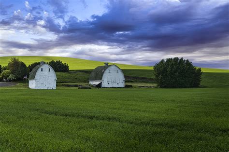 Gemelas Abello Claves Para Potenciar Tu Bienestar Emocional