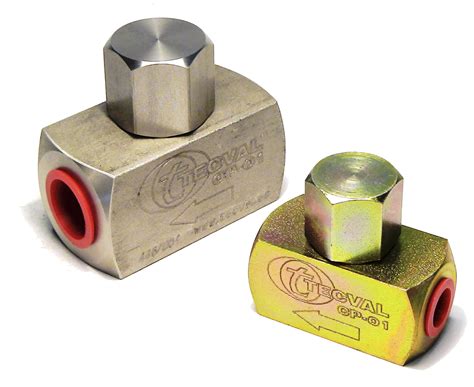 Poppet Check Valve Compact Ritm Industry